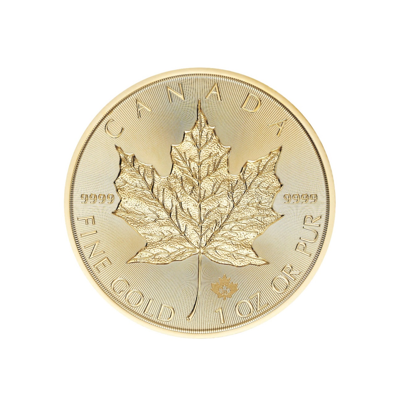 1 Ounce Gold Coin Canadian Maple Leaf INVEST METAL